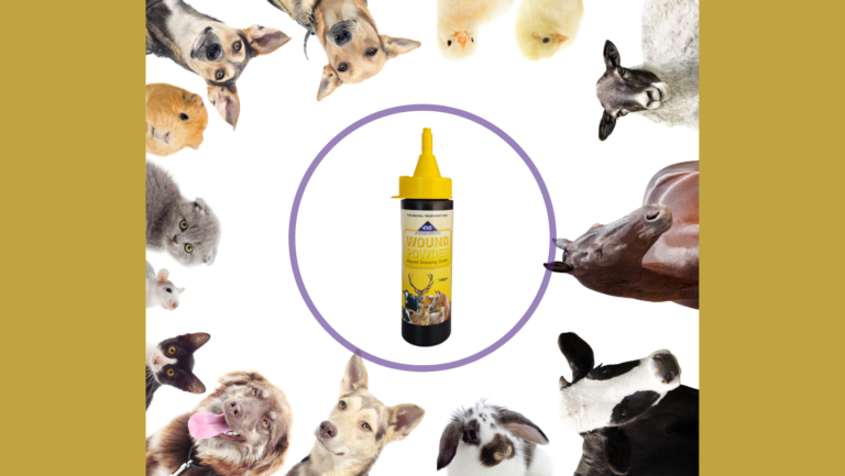 The Benefits of EA Wound Powder for Animal Wound Care - Ethical Agents ...
