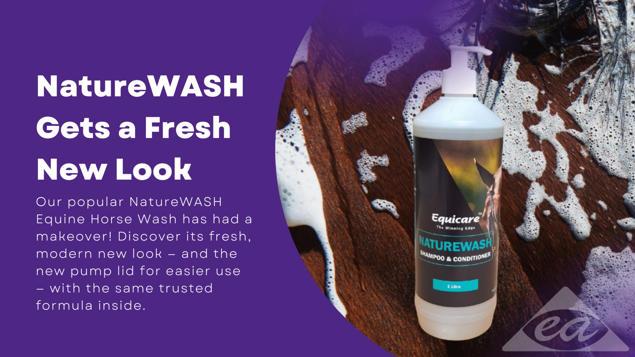 NatureWASH Gets a Fresh New Look (But It’s Still the Same Trusted ...